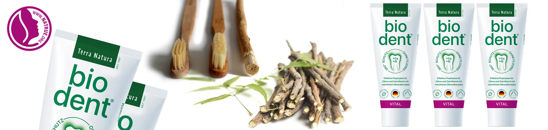 Terra Natura Fluoride-free Toothpaste Biodent Vital | 3x75ml - Your S